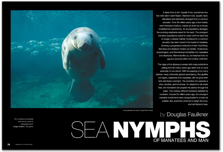 Sea Nymphs – American Windsurfer